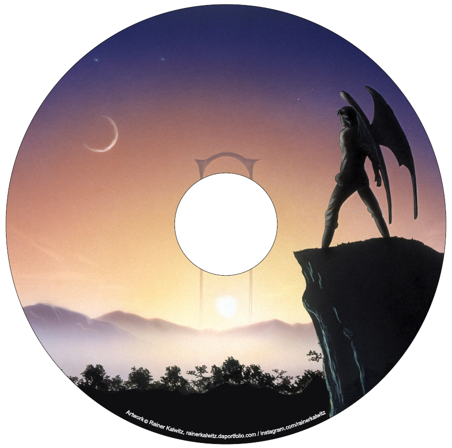 Sunrise SpokeGuards - SpokeGuards For Wheelchairs